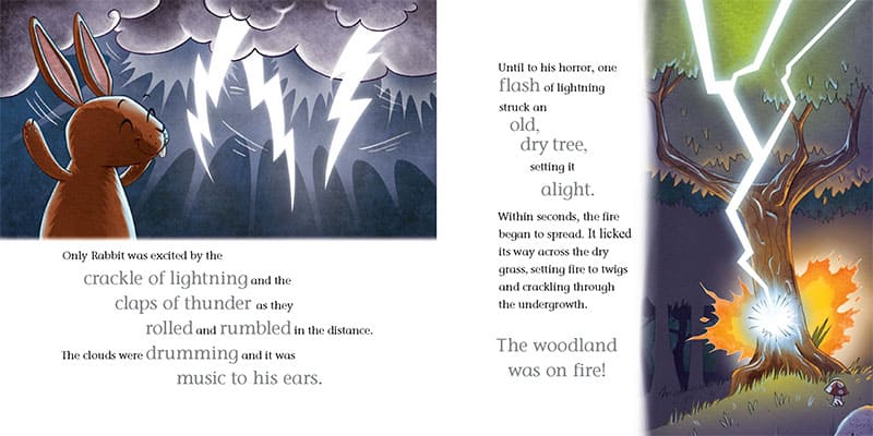 Springboard Stories - A Thumping Great Rabbit ebook