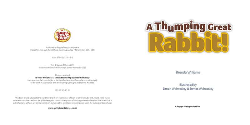 Springboard Stories - A Thumping Great Rabbit ebook
